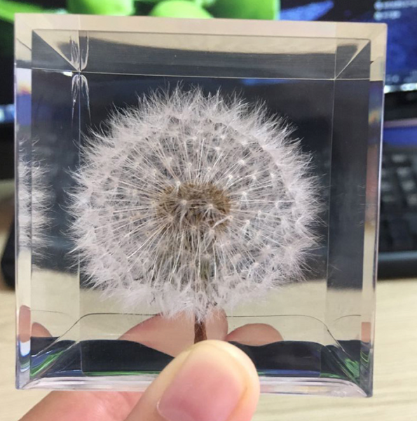 Dandelion Paperweight Block – Dandelion Paperweights